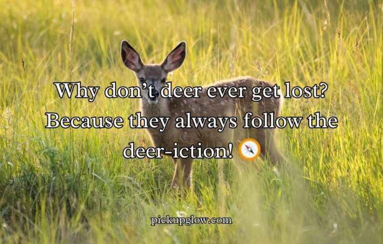 Best 900+ Deer Puns and Jokes to Make You Laugh 🦌 2026