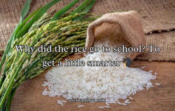Best 700+ Hilarious Rice Puns You’ll Love Today! 2026