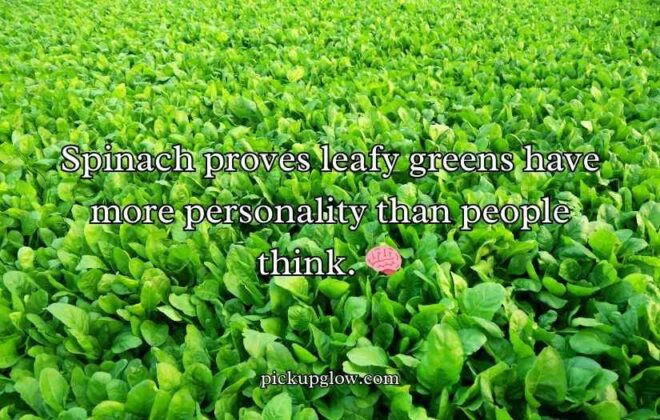 Best 900+ Hilarious Spinach Puns You’ll Love 🌿 2026